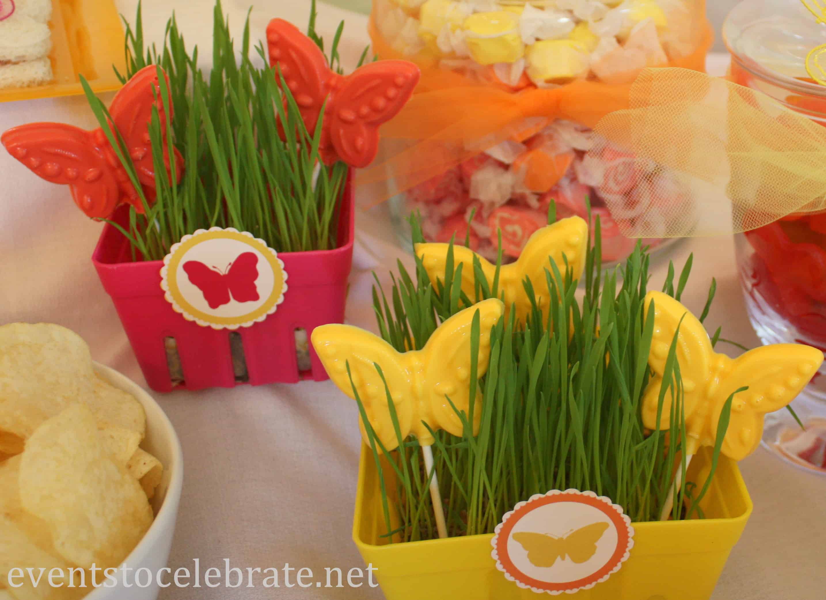 Butterfly Themed Birthday Party Food Desserts Events To CELEBRATE Butterfly Themed Birthday Party Food Desserts Events To CELEBRATE